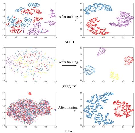 Frontiers Eeg Based Emotion Recognition Using Graph Convolutional Neural Network With Dual