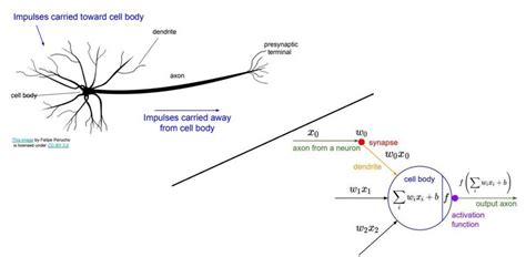 image from stanford cs231n 2017 download scientific diagram