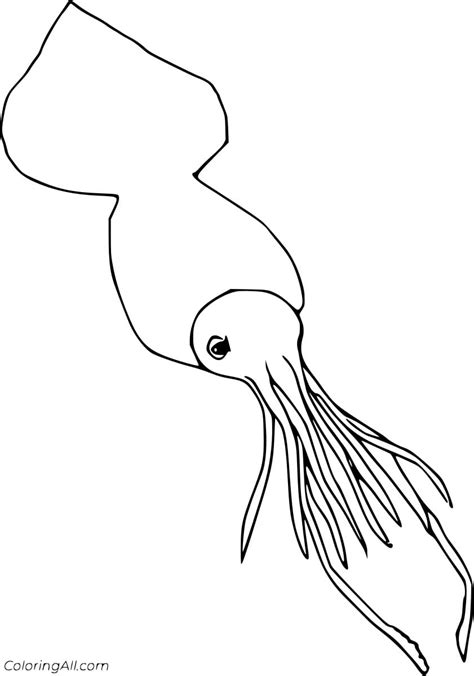 Colossal Squid Free Printable Coloring Pages Coloring Cool