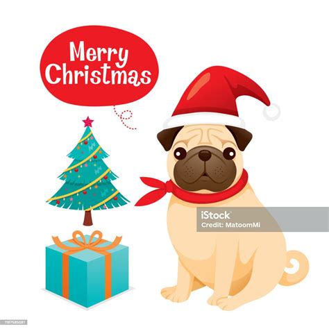 선물 상자와 나무 소원 메리 크리스마스와 크리스마스 모자를 입고 퍼그 개 퍼그에 대한 스톡 벡터 아트 및 기타 이미지 퍼그 12월 강아지 개 Istock