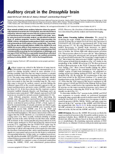 Pdf Auditory Circuit In The Drosophila Brain