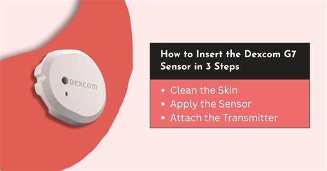 How Accurate Is Dexcom G7 Accuracy Breakdown For Diabetics How Accurate Is Dexcom G7 Accuracy Breakdown For Diabetics