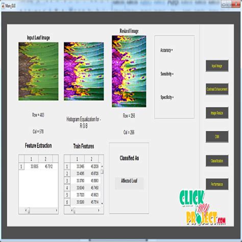 Multilayer Convolution Neural Network For The Classification Of Mango Leaves Infected By