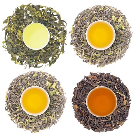 Japanese Yabukita Clone Tester From Gopaldhara Tea Estates