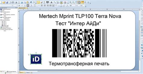 Mertech Mprint Terra Nova TLP100 термотрансферный принтер - обзор ...