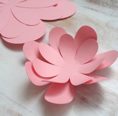 Trang Trí Nhà Với Bức Tranh Hoa GiẤy Rực Rỡ Hoa Giay Hoa Giay