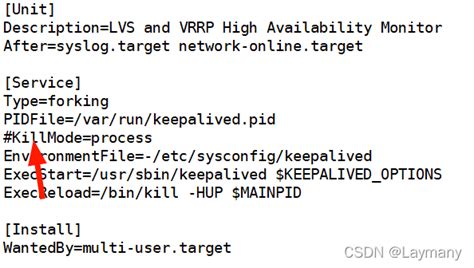 yum 安装keepalived 使用systemctl 无法停掉其后台进程 systemctl 无法 kill 进程 csdn博客