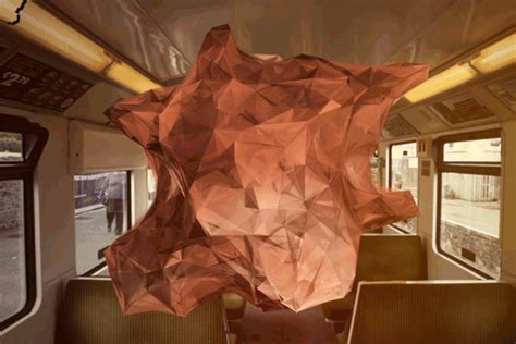 Plexus S Wiffle Plexus S Wiffle