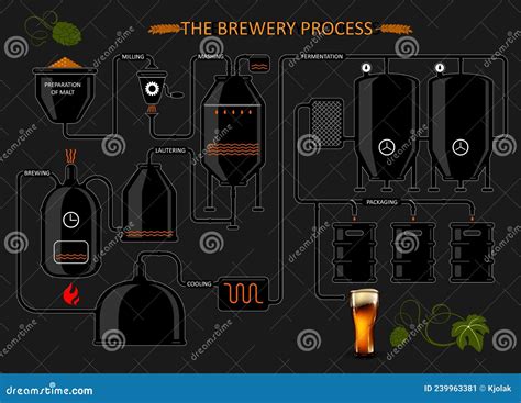 Diagram Of The Process Of Brewing Beer Detailed Illustration Stock Vector Illustration Of