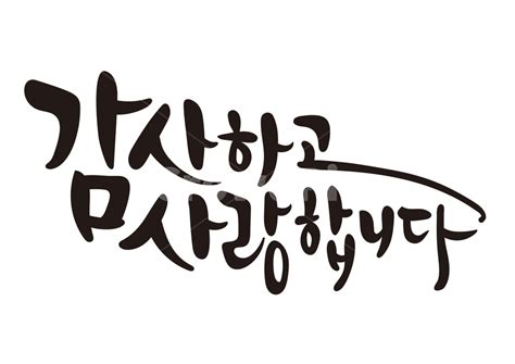 감사하고사랑합니다캘리그라피 감사하고사랑합니다 감사 사랑 감사캘리그라피 사진 이미지 일러스트 캘리그라피 추야작가