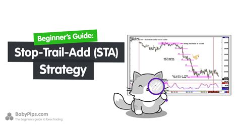 Beginners Guide To The Sta Strategy
