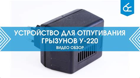 Устройство для отпугивания грызунов У220 - YouTube