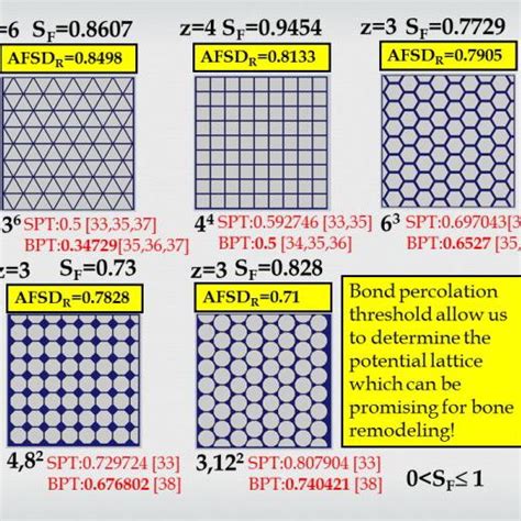 Schematical Representation Of Perimeters For Archimedean Lattice Models