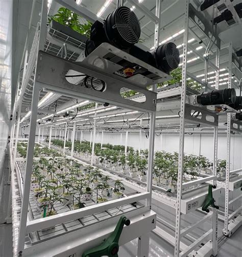 Montel Integratedsolutions Abel Womack Inc