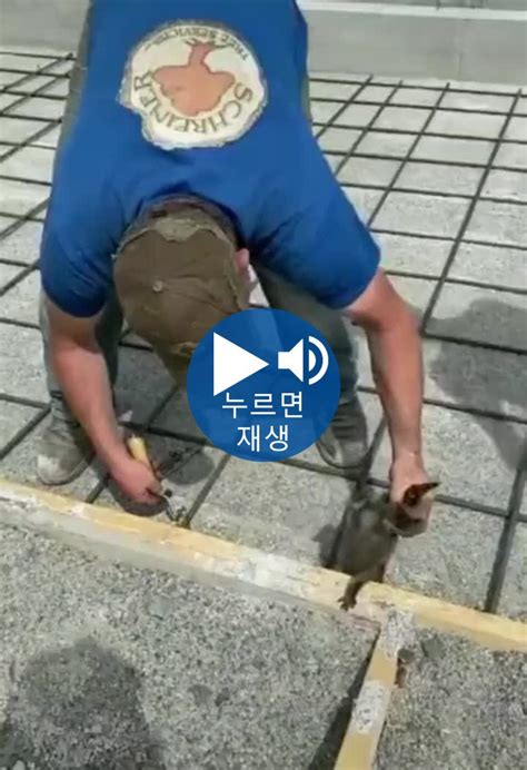 주인따라다니는 너구리 유머 움짤 이슈 에펨코리아