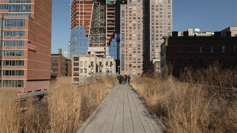 Fantastic Photographs Of The High Line In The Dead Of Winter Viewing Nyc