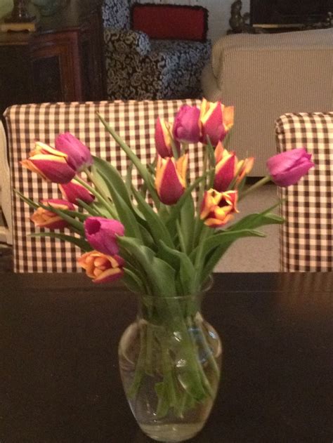 Pink And Yellow Tulip Color Scheme