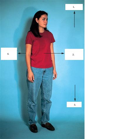 Anatomical Position Diagram Quizlet