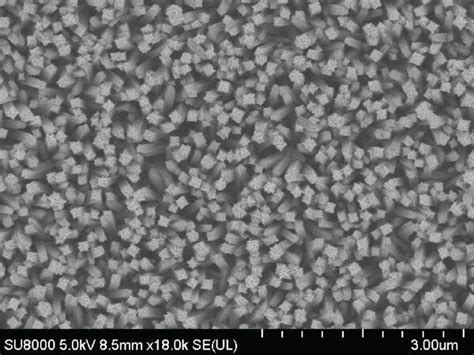 SEM Images Of TiO2 Nanorods A B Prepared By The High Temperature Download Scientific Diagram