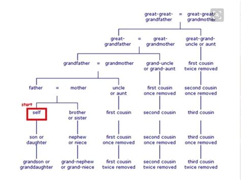 First Cousins Twice Removed And Such Second Cousins Once Removed