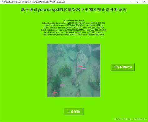 yolov3 yolov4 yolov5 yolov6 yolov7 lite fastdet efficientdet各系列模型开发、项目