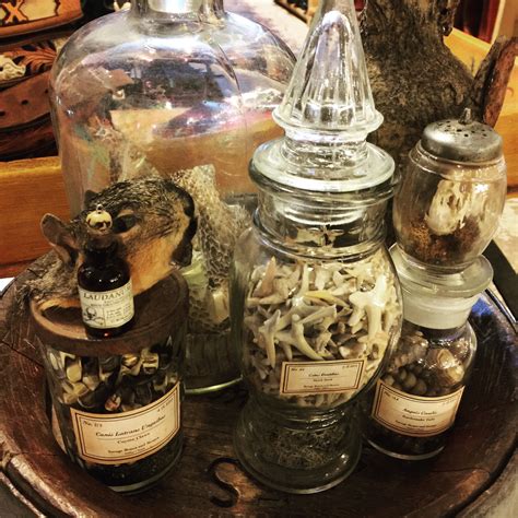 witch s brew dolly python