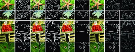 Visual Results Of Edge Detection Using The Proposed Model By Slightly Download Scientific