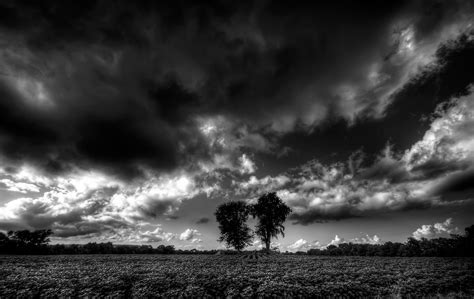 Landscape Photography Black And White Wallpaper