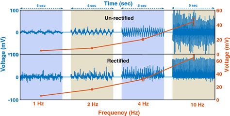 Un Rectified And Rectified Output Of The Device At Different Input