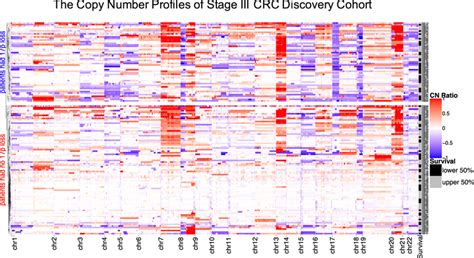 Copy Number Profiles Of The Discovery Cohort Copy Number Ratios Cnr