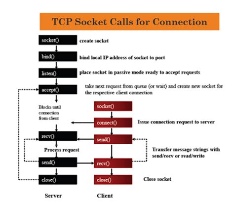 Network Socket Programming In LINUX