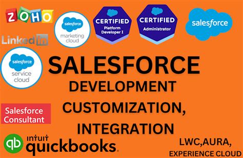 do salesforce development customization integration by programmertec