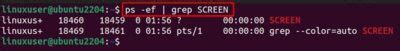 How To Kill A Screen Session In Linux Linux Genie