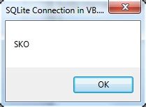 How To Connect Or Show Data From SQLite In VB Net Or C SKOTechLearn Tips