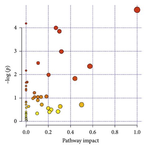 Analysis Of Pathway Impact Isoquinoline Alkaloid Biosynthesis Which