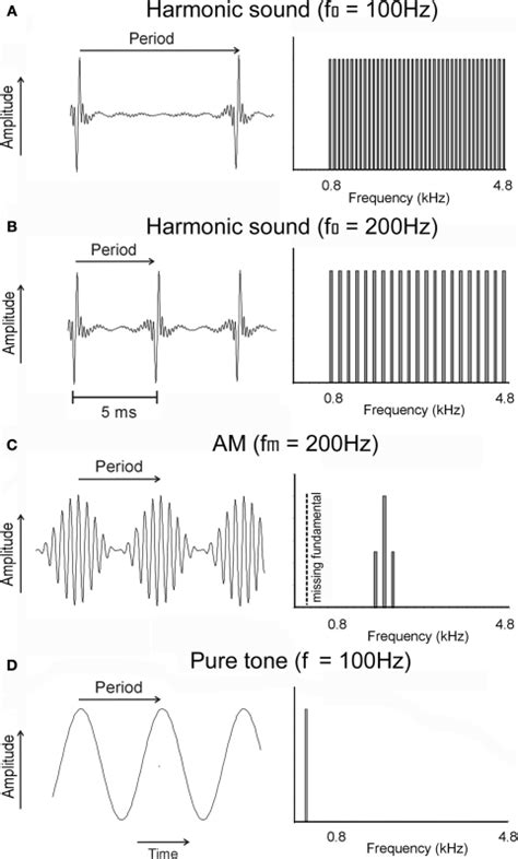 Temporal Left And Spectral Right Representation Of Examples Of