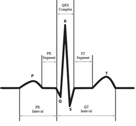 Figure 2 3 From Fetal Electrocardiogram Detection And Analysis From Maternal Abdominal Ecg For