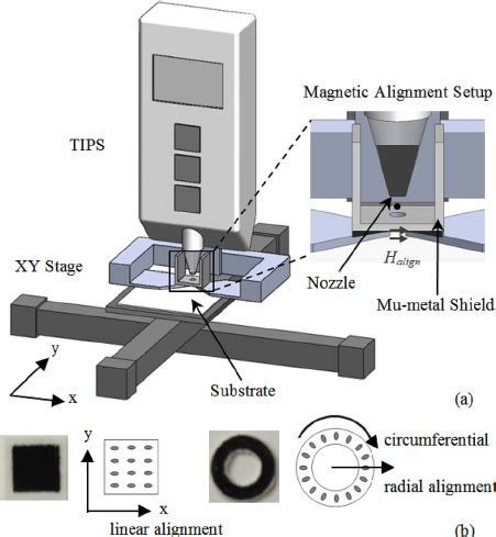 A Schematic Of Inkjet Printing And Magnetic Alignment Setup B Download Scientific Diagram