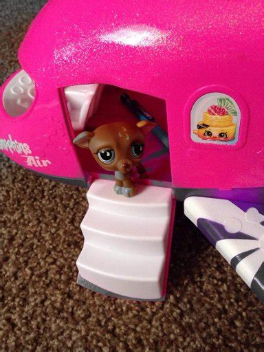 First Class Lps Amino