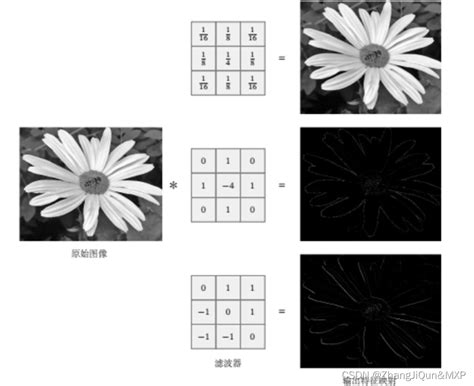 卷积层 原理与计算生物启发卷积核 Csdn博客