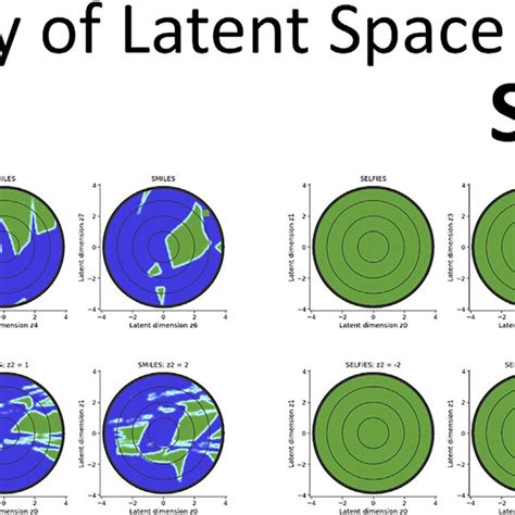 decoding points from the internal representation latent space of a