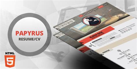 Papyrus Responsive Resume Template By LeMira ThemeForest