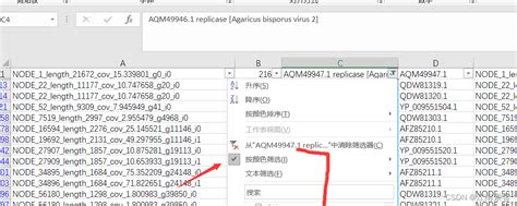 excel筛选出自己想要的内容 excel批量筛选指定内容csdn csdn博客