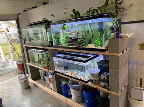 Diy Cinder Block Aquarium Stand Artofit