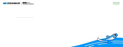 Oceanbase 在翼鸥教育的应用与实践罗呈祥pdf 墨天轮文档