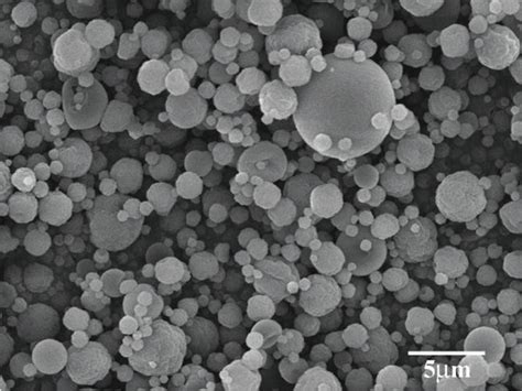 Sem Image Of The Surface Morphology Of Microparticles Obtained By Spray Download Scientific