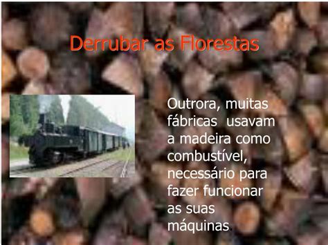 Ppt Dia Mundial Da Árvore Powerpoint Presentation Free Download Id