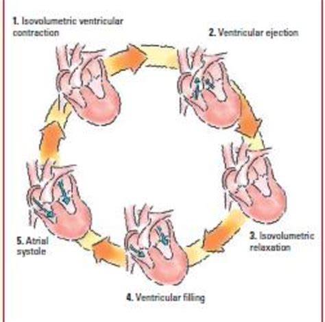 Figure 1 From Contactless Detection Of Cardiopulmonary Activity For A Person In Different