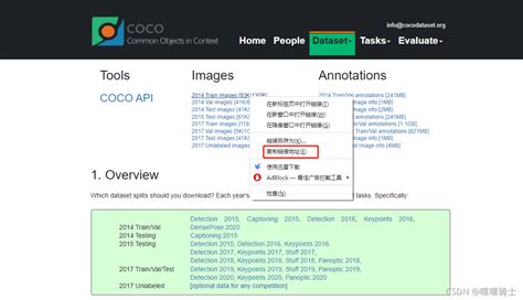 如何在官网下载coco数据集 coco数据集官网 csdn博客