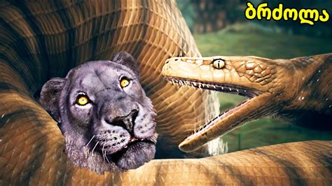 პანტერამ გიგანტური პითონი შეჭამა 😱 ახალი მიწები Ancestors Tho ქართულად E4 Youtube